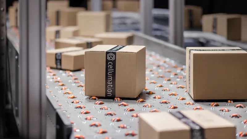 cv.SINGULATE | Offering on MM Solutions